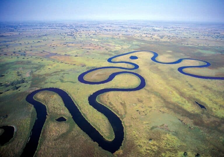 Experts Plan To Protect One Of The Rare Pristine River Sources In ...